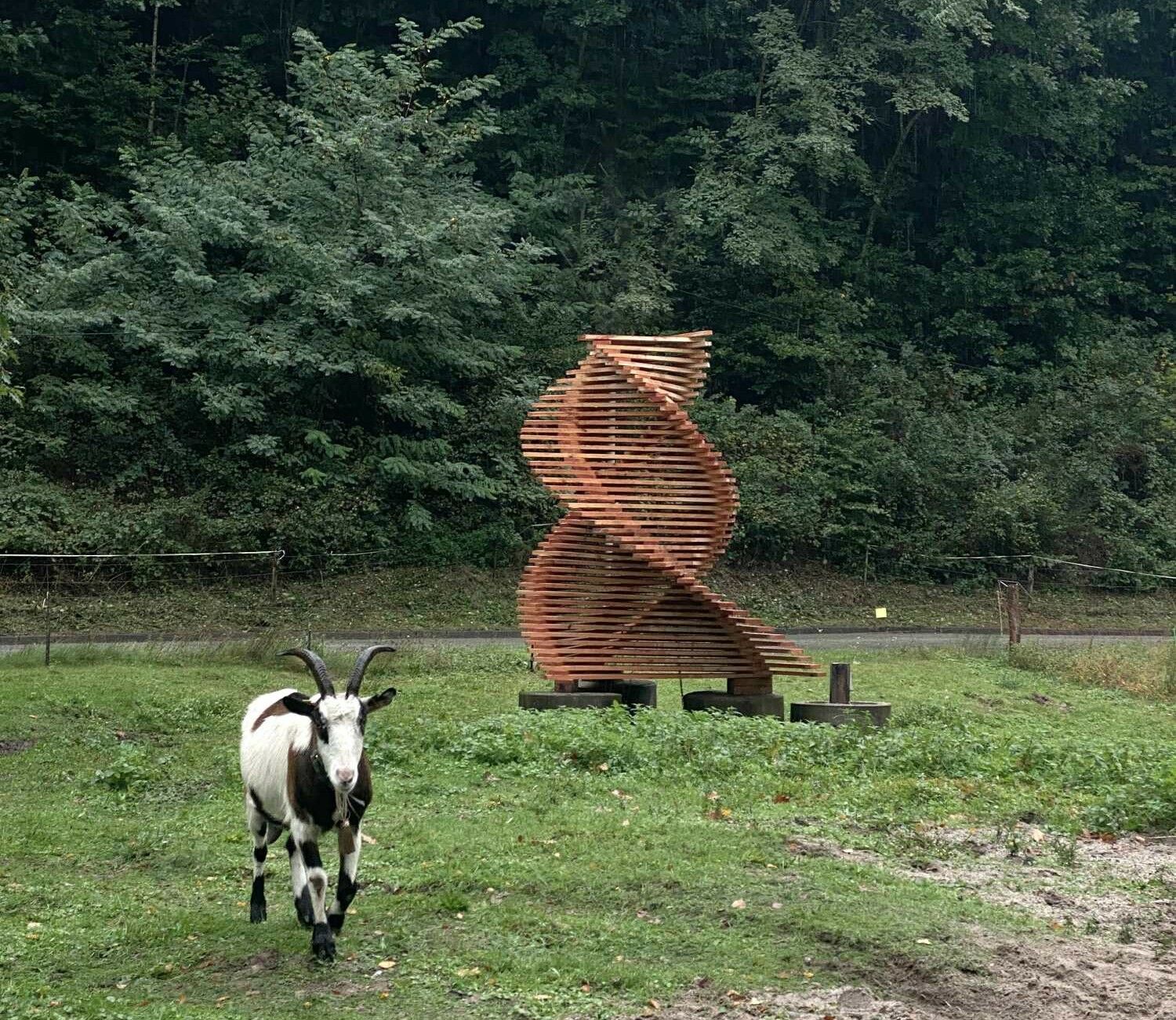 Startseite - BauNetz CAMPUS